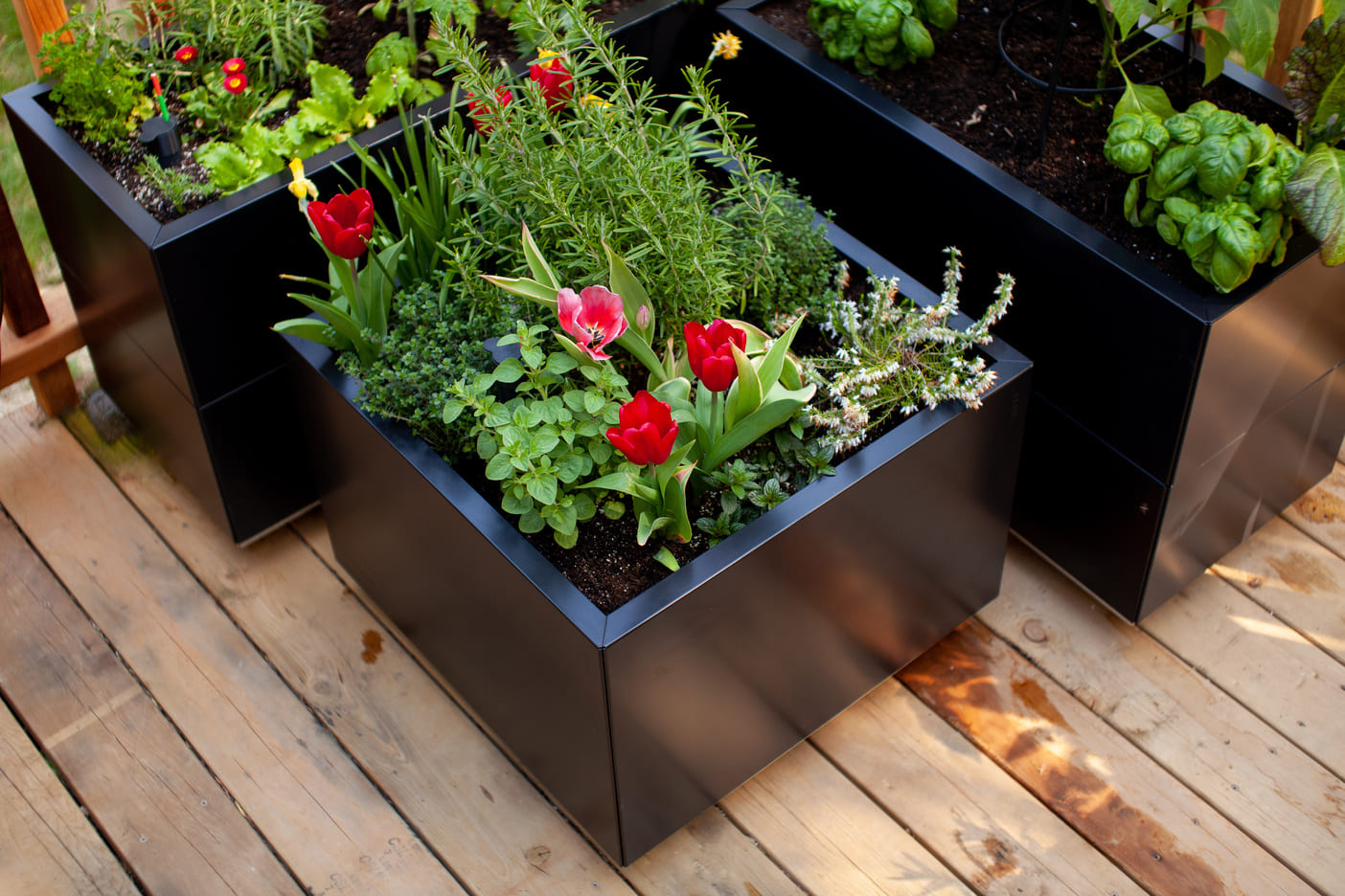 Seasonal Care Guide for Your Outdoor Planters - Greenville Planters